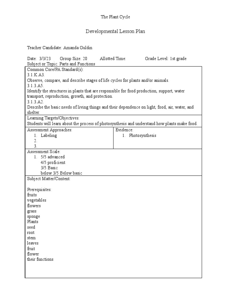 Lesson 4 Photosynthesis | PDF | Plants | Photosynthesis