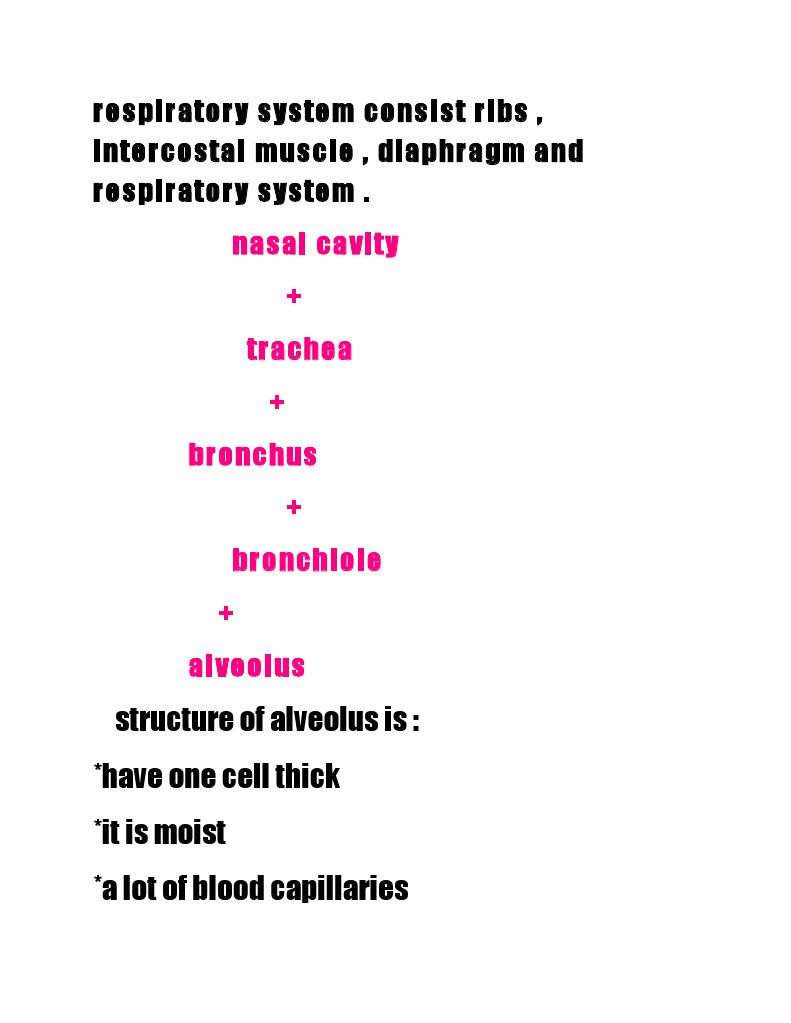 Respiratory System Consist Ribs, Intercostal Muscle, Diaphragm and ...