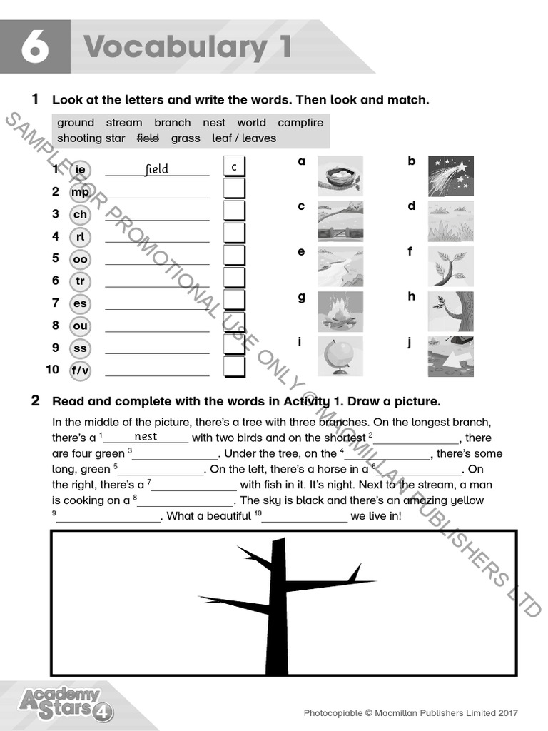 Academy Stars 4 TRC Worksheets PDF | PDF