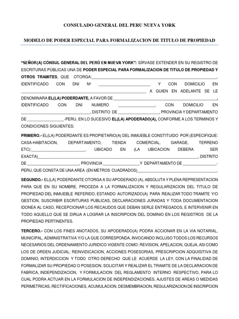 FT - Modelo para Formalizacion de Titulo de Propiedad | PDF