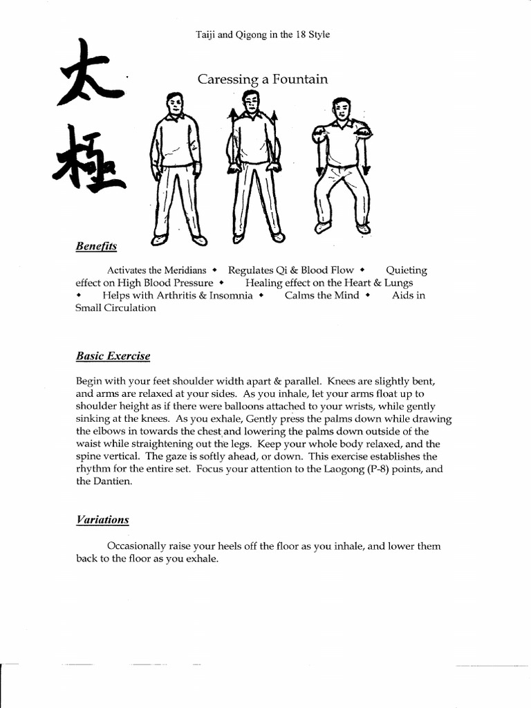 Shibashi 18 Movements Overview | PDF