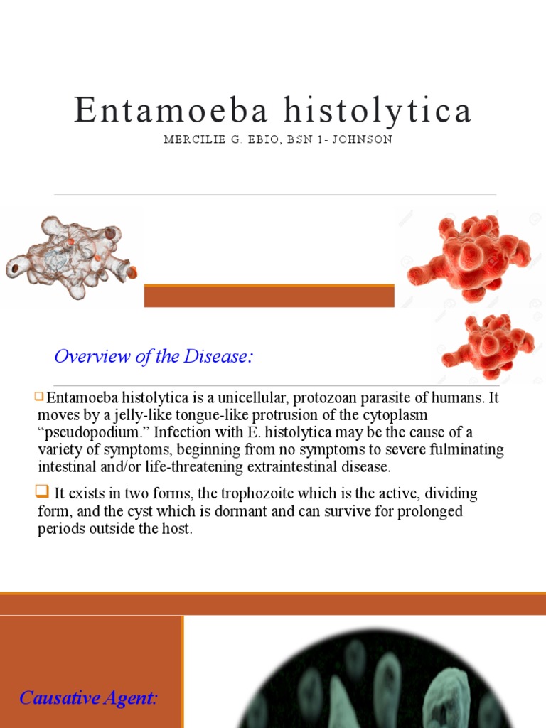 Entamoeba Histolytica | PDF