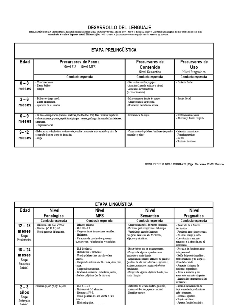 Escala desarrollo lenguaje.docx | PDF