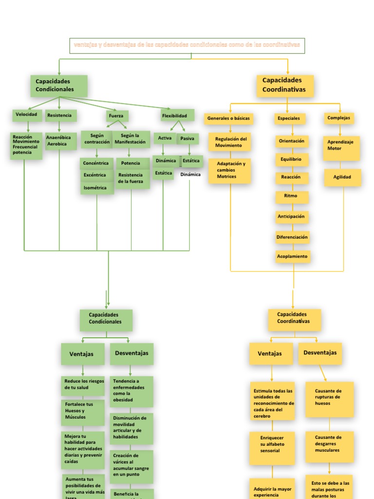 Mapa Conseptual Ventajas y Desventajas | PDF