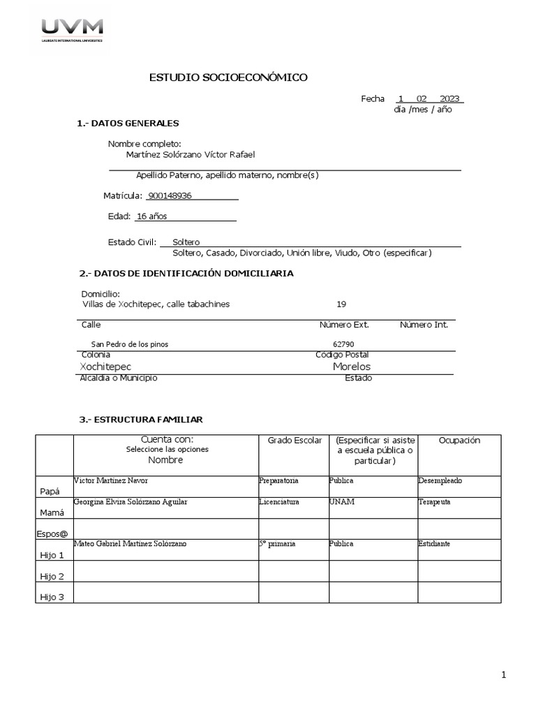 Estudio Socioeconomico Word | PDF