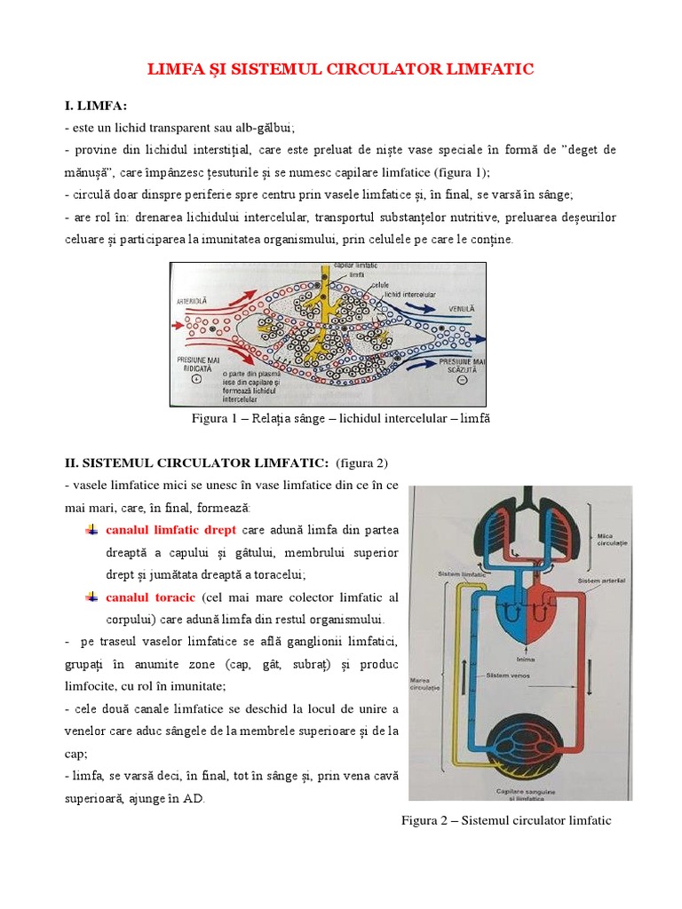 Limfa Si Sistemul Circulator Limfatic | PDF