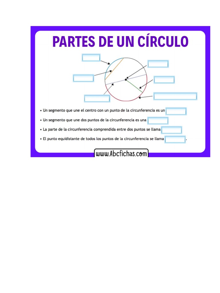 Circulo PDF | PDF