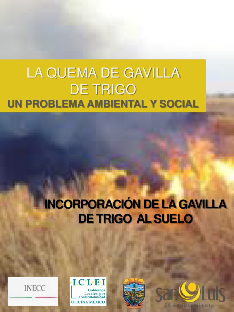 Proyecto DE GAVILLA | PDF