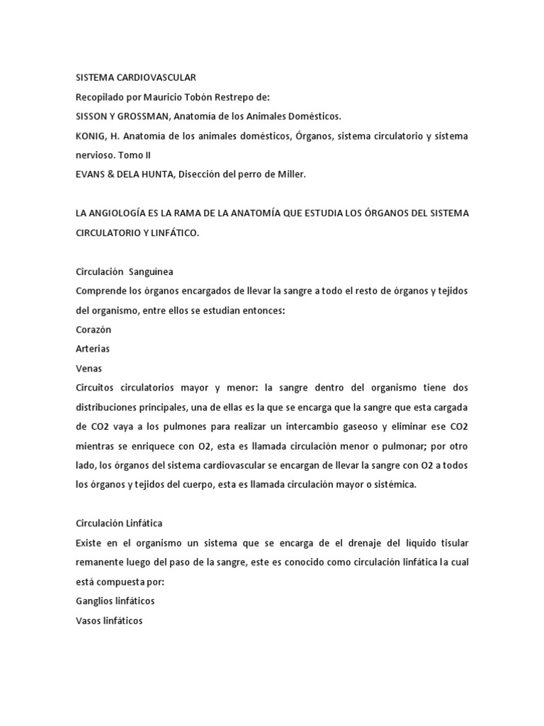 Anatomía del Corazón Equino | PDF