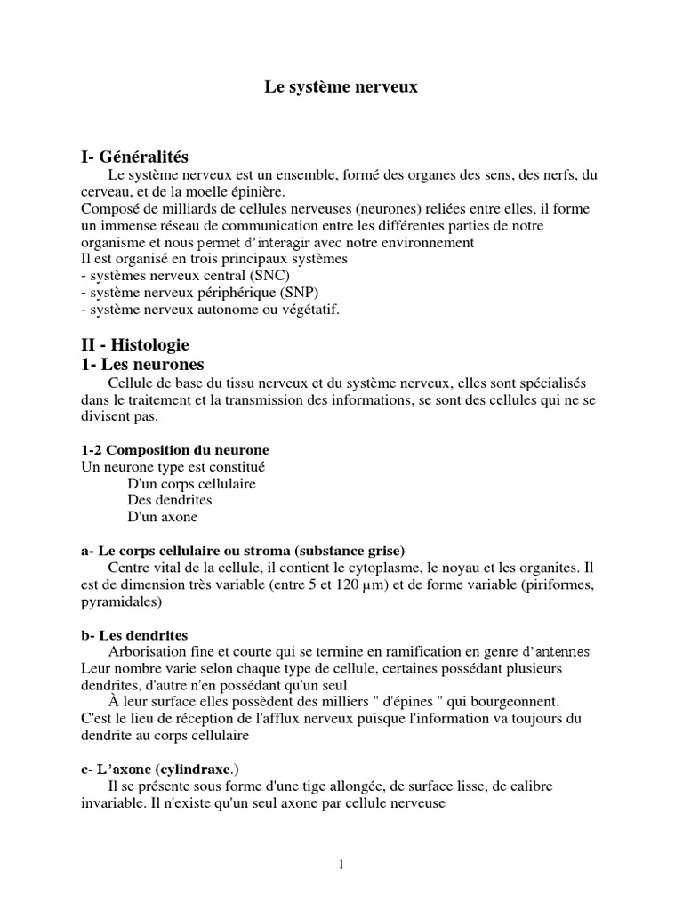 Exercices sur le système nerveux 4ème | PDF | Système nerveux | Nerf
