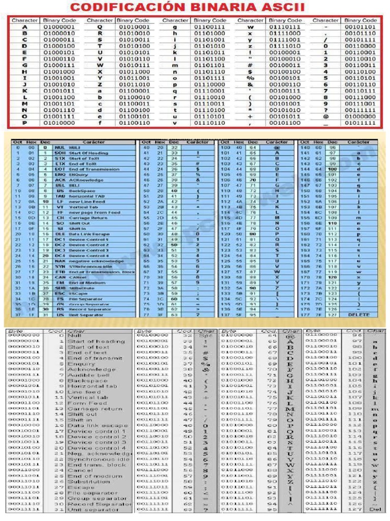 Acordeon PDF | PDF