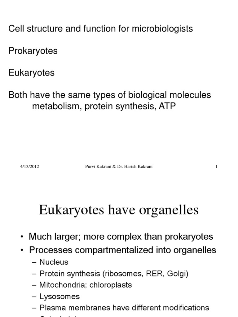 Bacterial Cell Structure and Functions | PDF | Cell (Biology) | Prokaryote