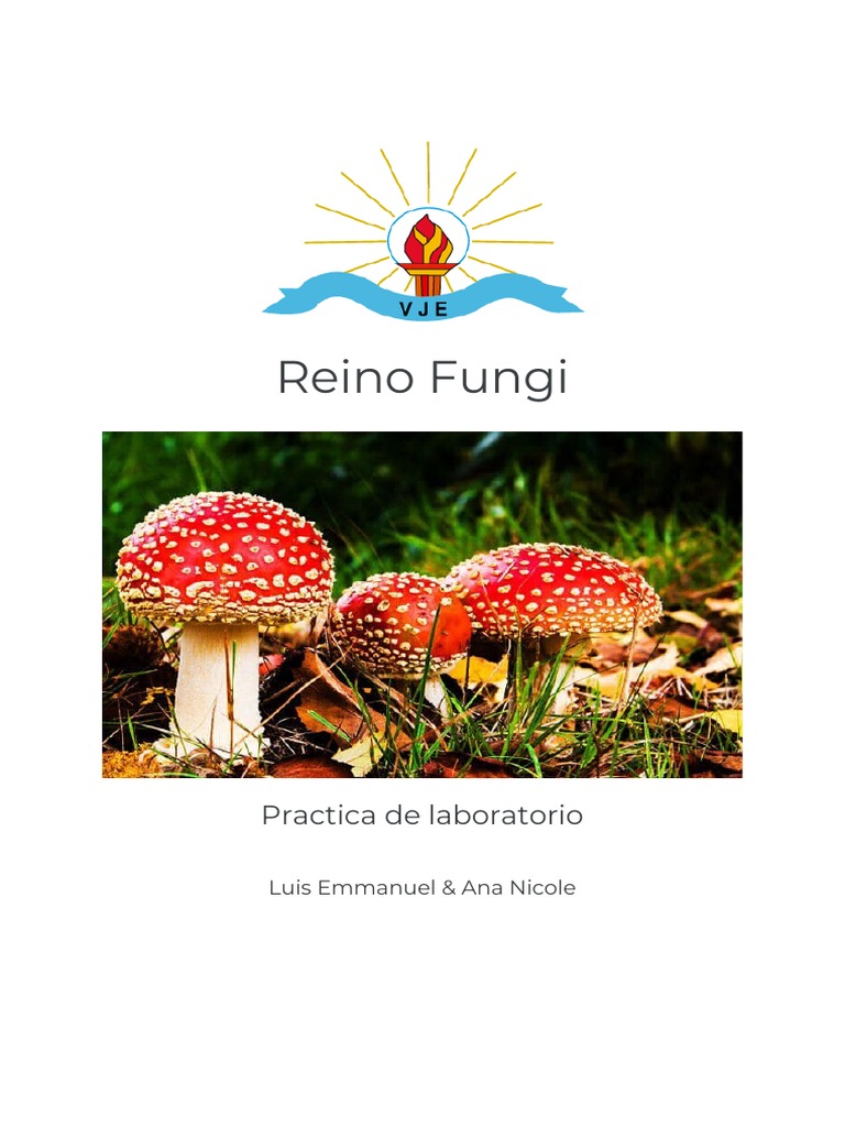 Reino Fungi | PDF | Hongo | Seta