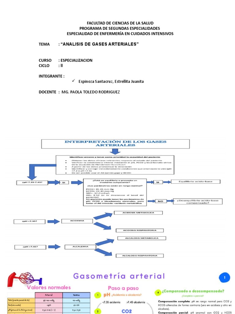 Analisis de Gases Arteriales | PDF