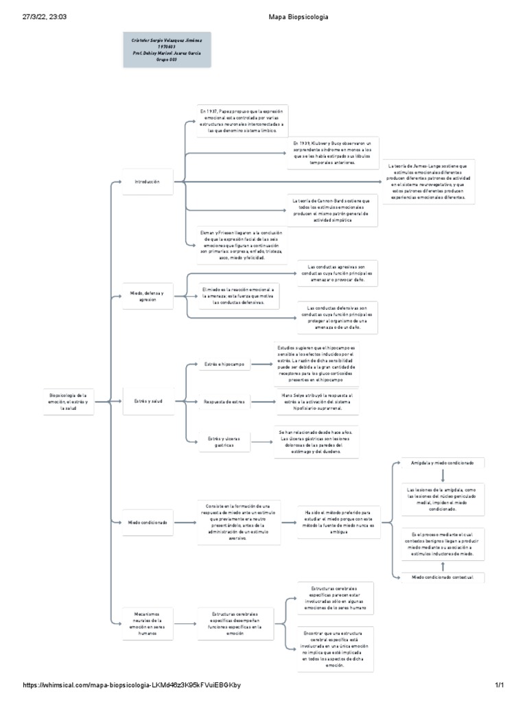 Mapa Biopsicologia RL5 Estres.pdf | PDF