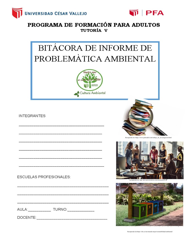 Esquema Del Informe - Bitácora de Problemática | PDF