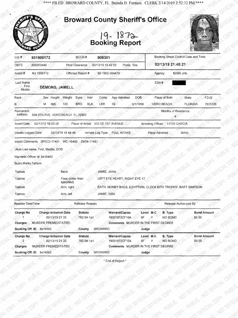 Ynw Melly Arrest PDF | PDF