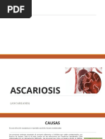 ASCARIASIS y Su Ciclo de Vida | PDF | Inmunología | Microbiología
