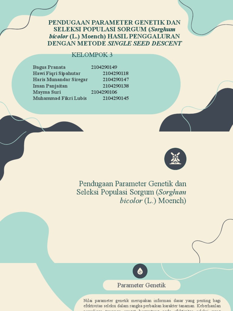 Single Seed Descent (SSD) pada Sorgum.pptx | PDF