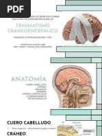 Canadian CT Head Rule | PDF
