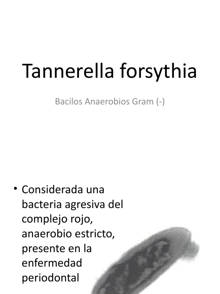 Tannerella Forsythia | PDF | Lipopolisacárido | Inmunología