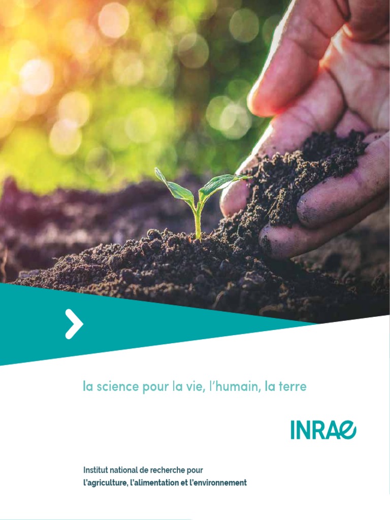 Plaquette-INRAE FR Planches PDF | PDF