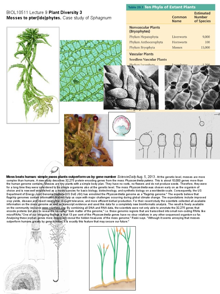 Lecture 9 Handout 2013 | PDF
