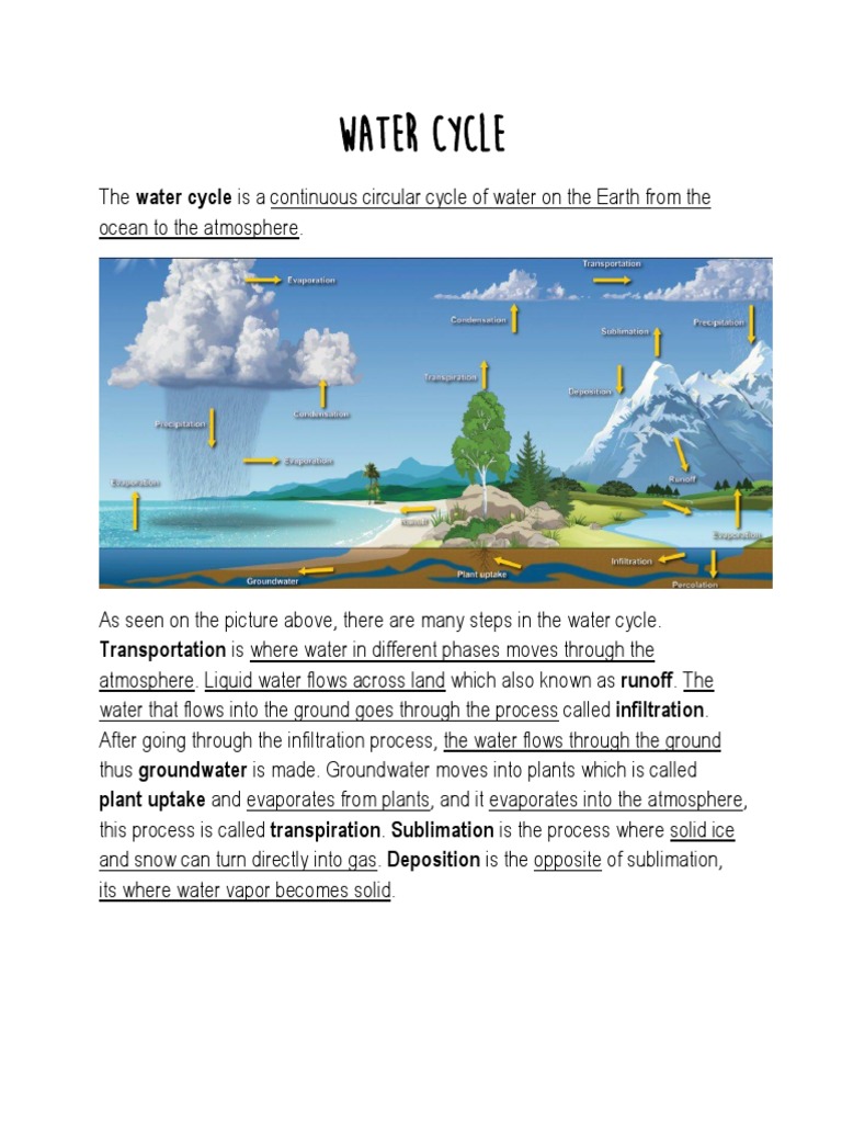 Water Cycle PDF | PDF
