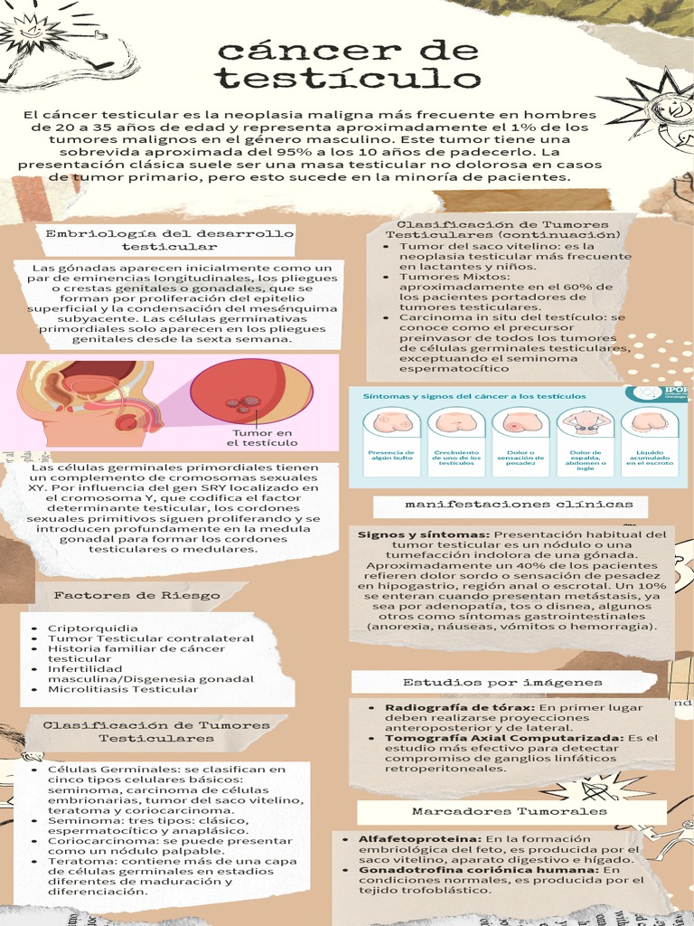 Cancer De Testiculo Infografia Pdf Pdf