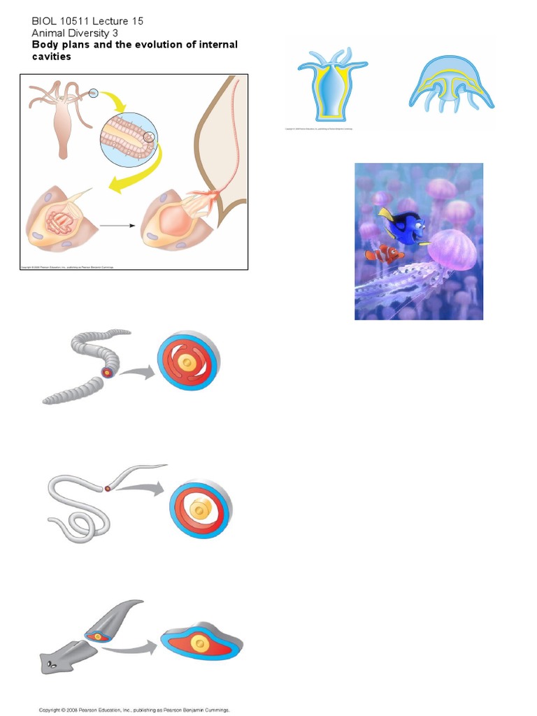Lecture 15 Handout 2013 | PDF