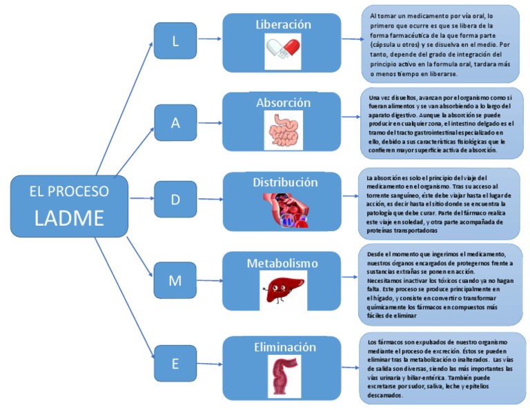 Proceso LADME en Farmacología | PDF