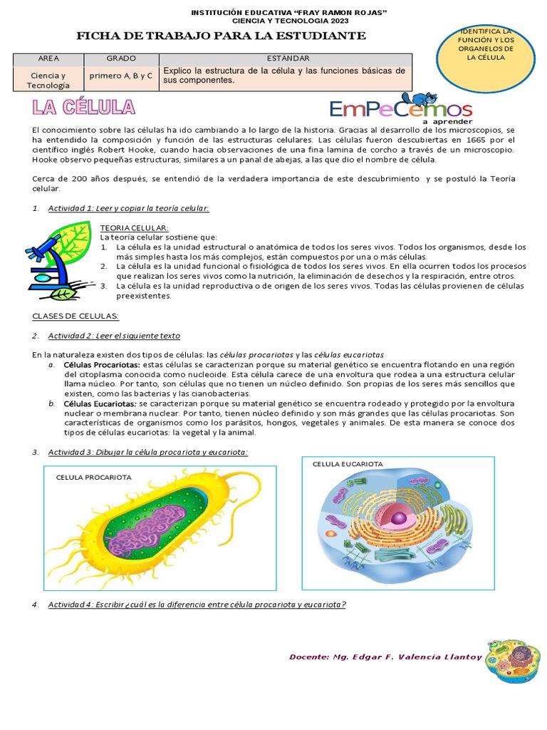 Hojas De Trabajo Sobre La Estructura Celular