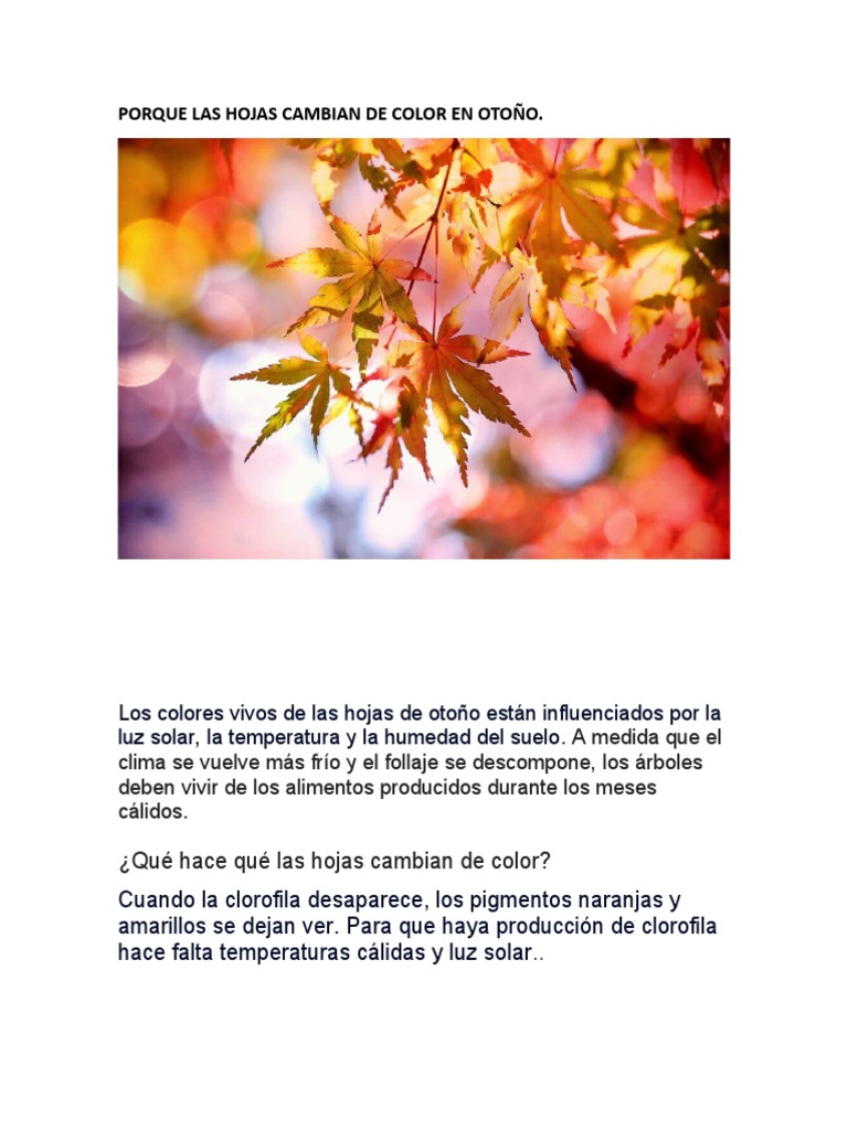 Porque Las Hojas Cambian de Color en Otoño | PDF Porque Las Hojas Cambian de Color en Otoño | PDF
