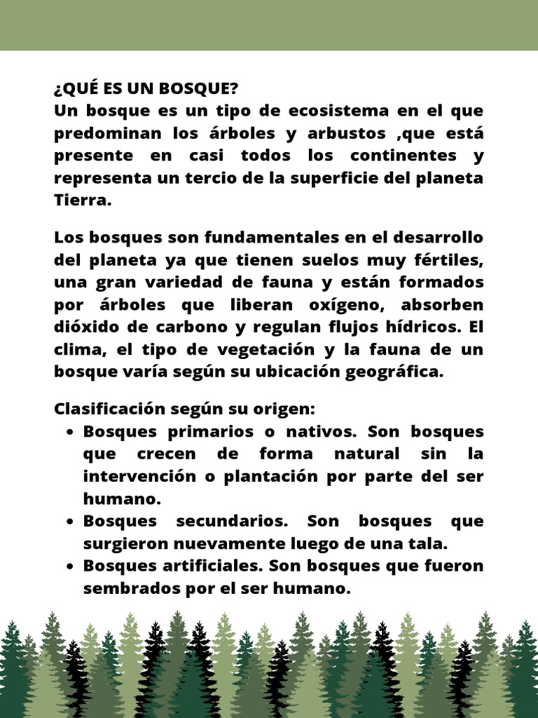 Tipos de bosques: primarios, secundarios y artificiales | PDF