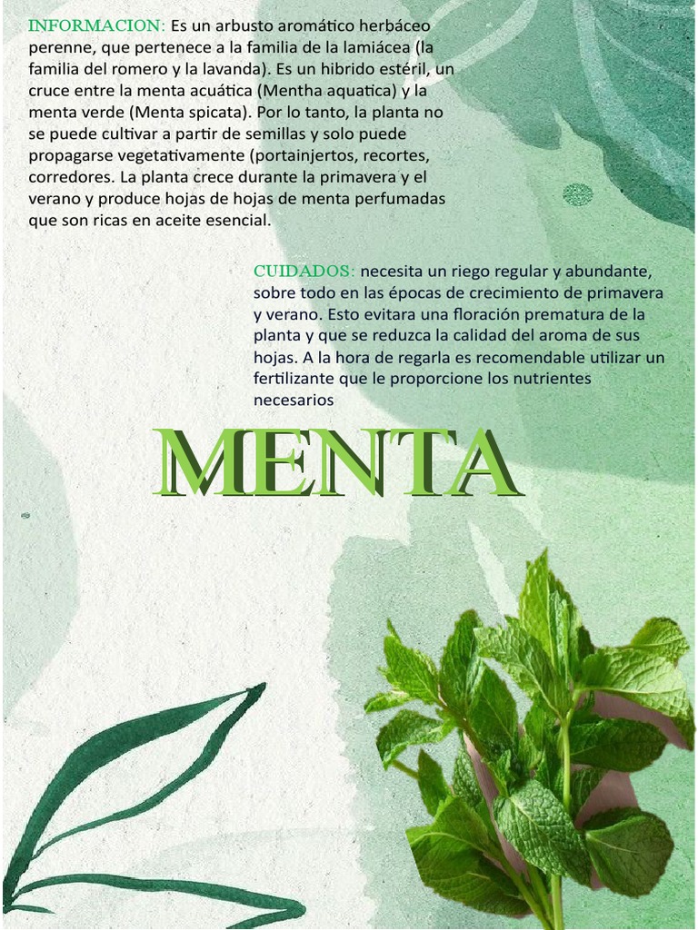 Afiche de La Menta | PDF