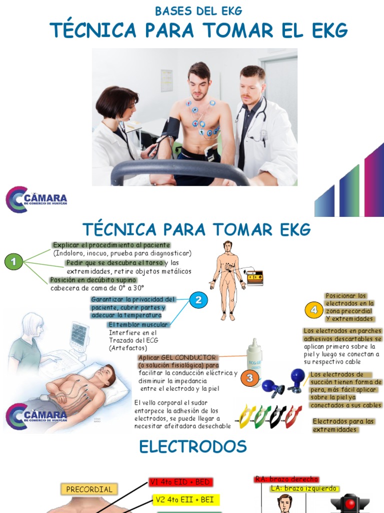 Bases Del Ekg Tec. para Tomar Ekg PDF | PDF