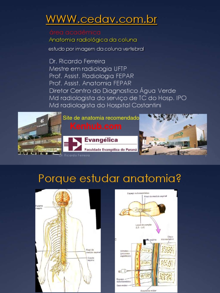 Anatomia-Coluna Cervical | PDF | Coluna vertebral | Anatomia humana