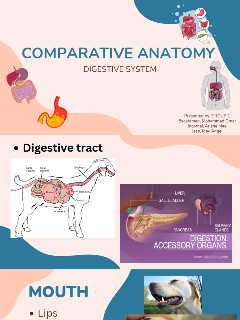 Blue Orange Creative Diabetes Presentation PDF | Download Free PDF ...