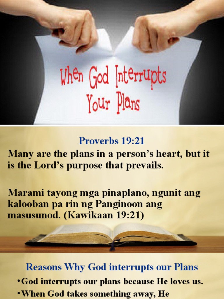 DISRUPTED-PLANS | PDF