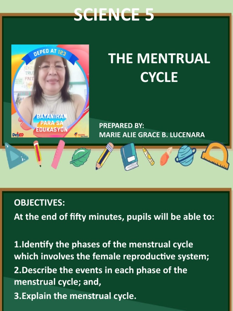 Understanding the Menstrual Cycle | PDF