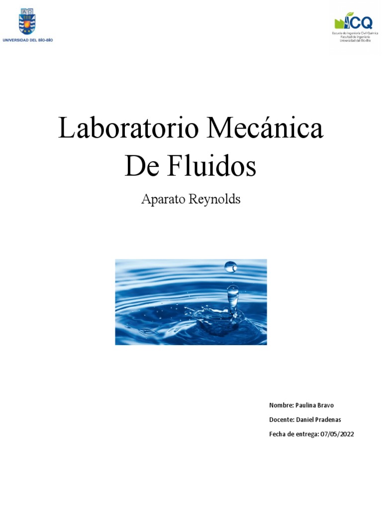 Laboratorio 2 Mecánica de Fluidos | PDF