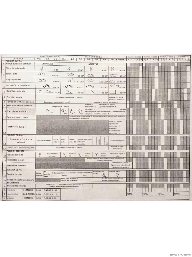 Batería Infanib Español PDF | PDF