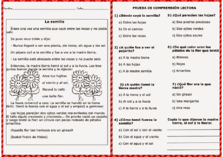 Lectura de Comprension | PDF