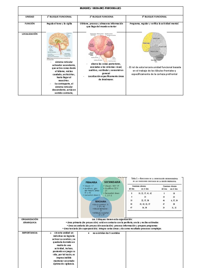 Bloques Funcionales 1 PDF | PDF
