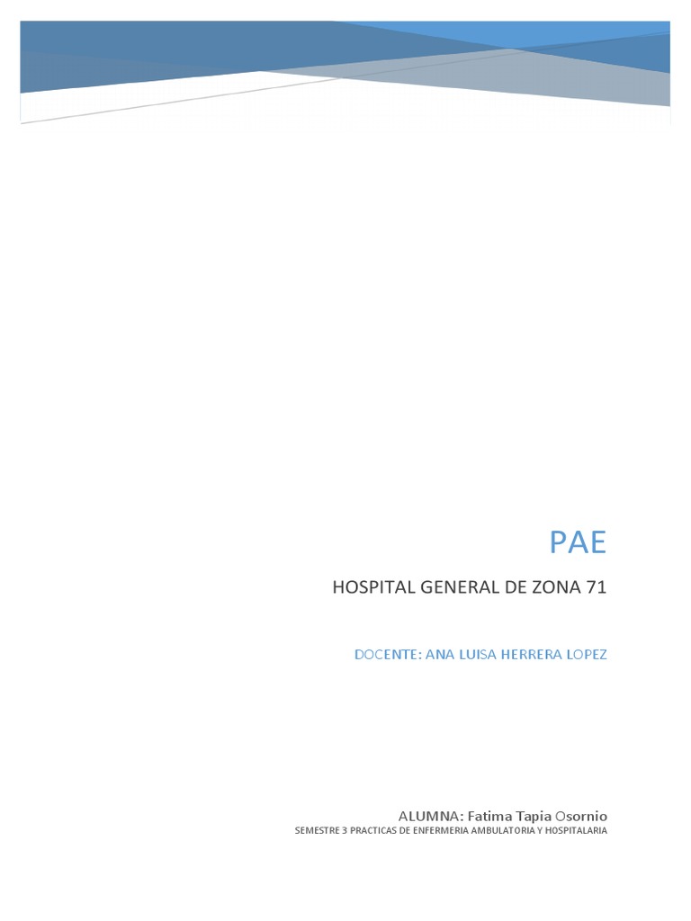 PAE.pdf | PDF
