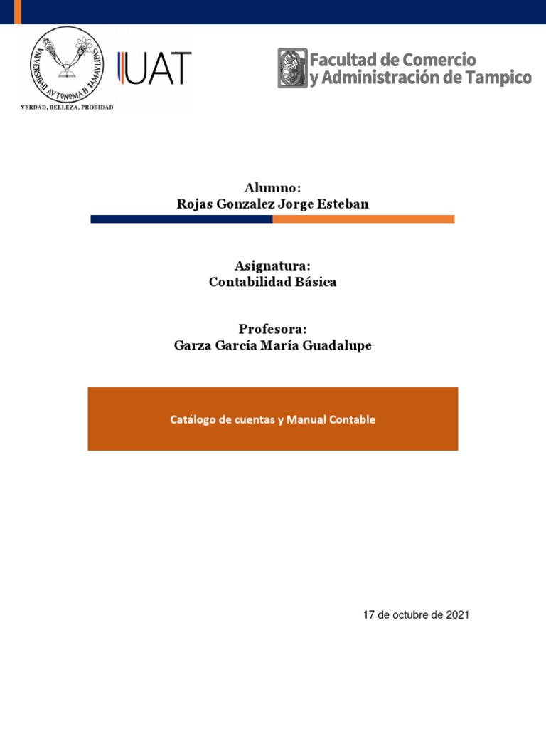 Catálogo de Cuentas y Manual Contable | PDF