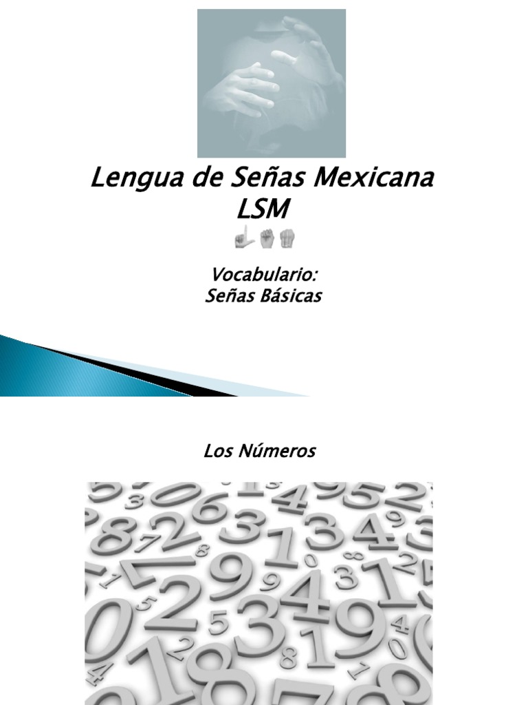 Números LSM 2 | PDF