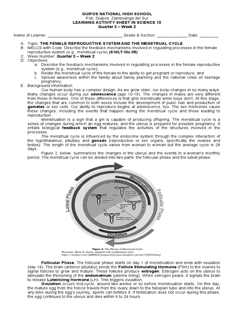 Worksheet Q3 Week 2 | PDF