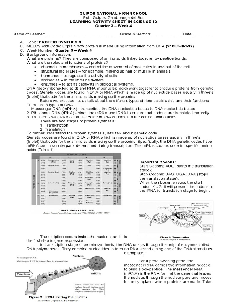 Worksheet Q3 Week 4 | PDF
