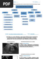 Medidas y Posiciones del Útero en Ecografía | PDF | Ultrasonido médico ...